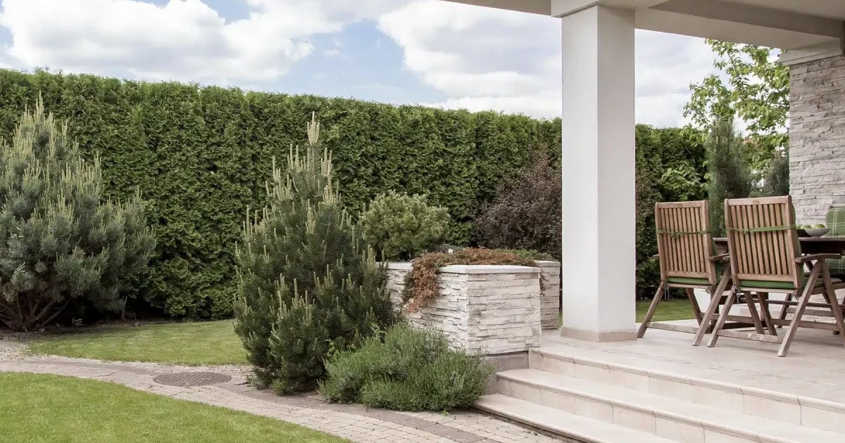 Maximize Landscape Privacy with Smart Plant Selections - Baxter Gardens
