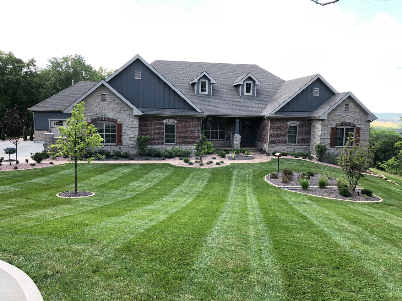 Best Types of Grass Seed for St. Louis—Grow Like a Pro - Baxter Gardens